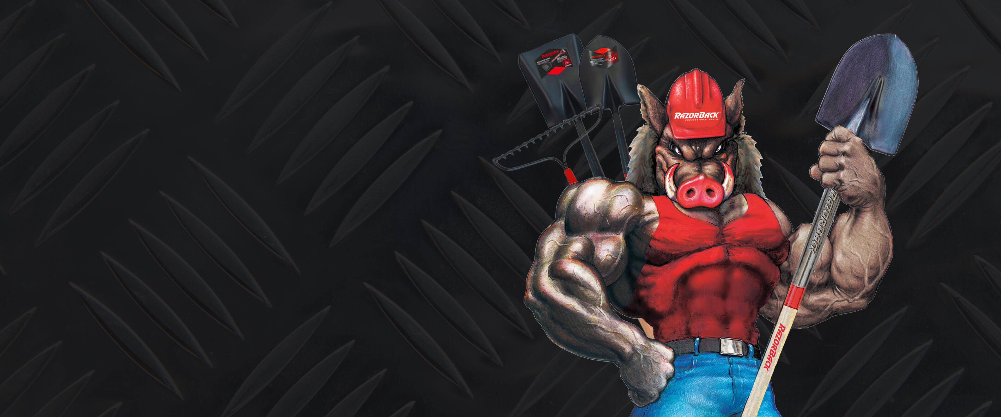 Home by AMES | Home by AMES