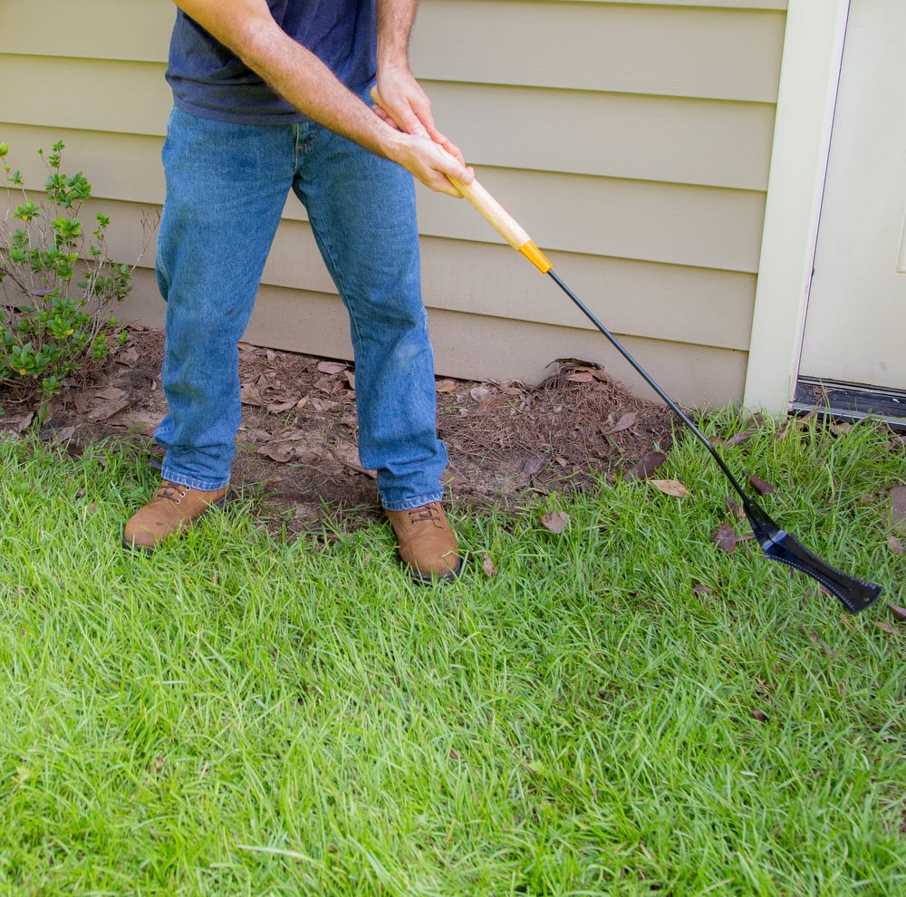 Grass Whip with Hardwood Handle | Home by AMES