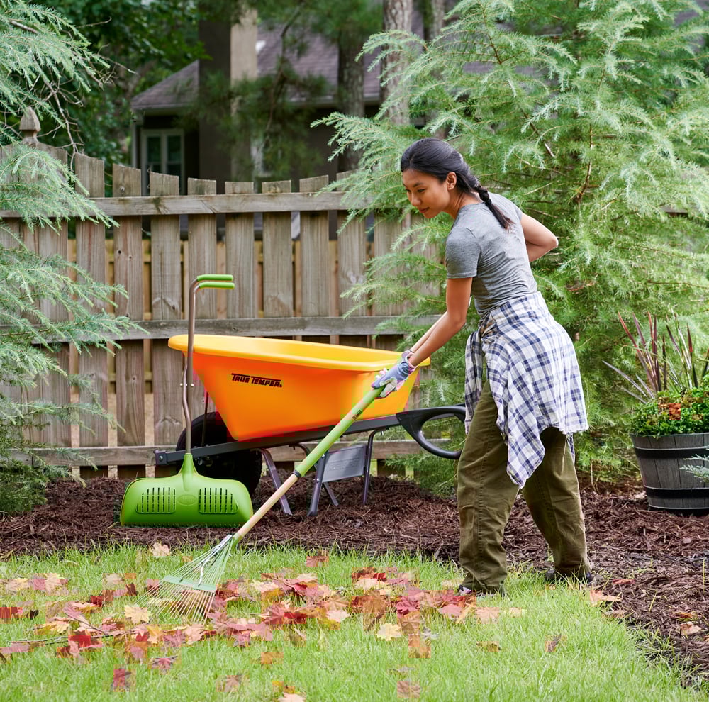 Long Handle Leaf Collection Tool | Home by AMES