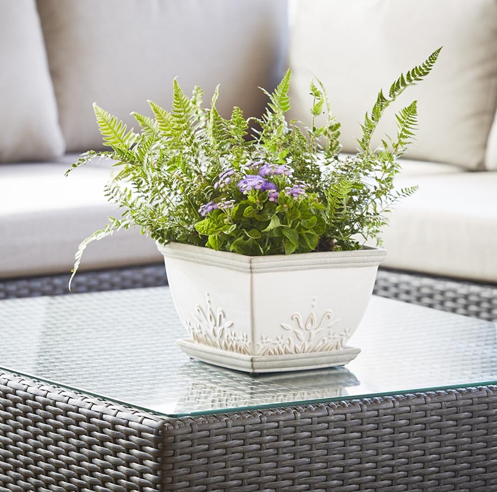 8" Brentwood Square Ceramic Planter, White (2-pack) | Home by AMES