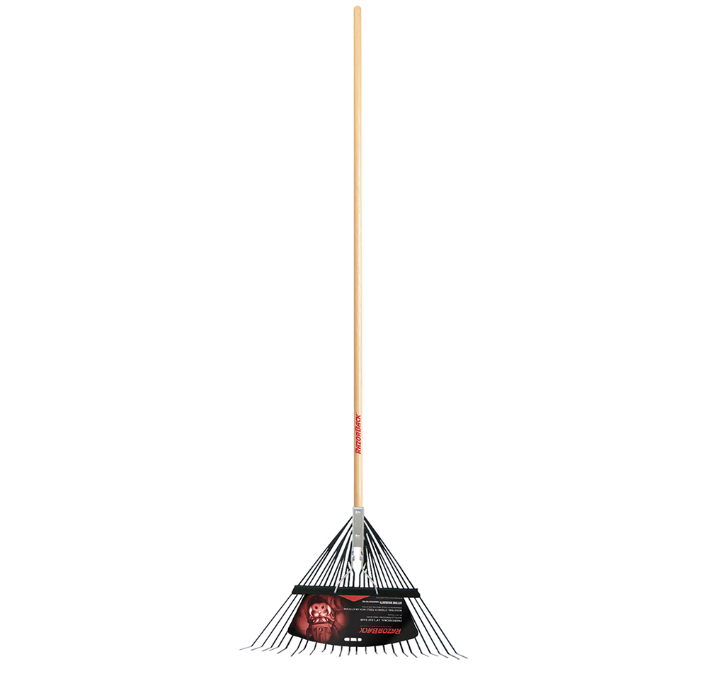 24 Tine Steel Rake with Wood Handle | Home by AMES