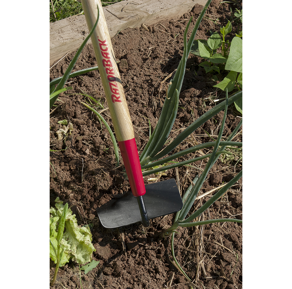 7 Inch Cotton Hoe, Forged, with Wood Handle | Home by AMES