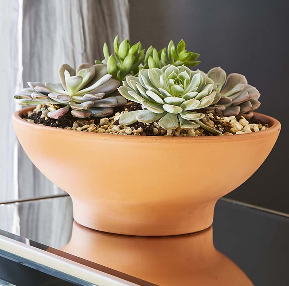 12" Clay Low Bowl | Home by AMES