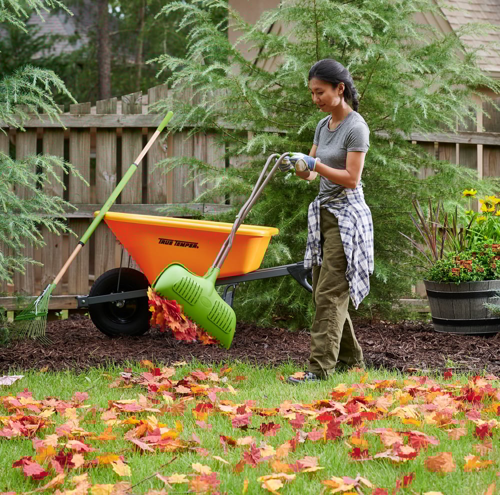 Long Handle Leaf Collection Tool | Home by AMES
