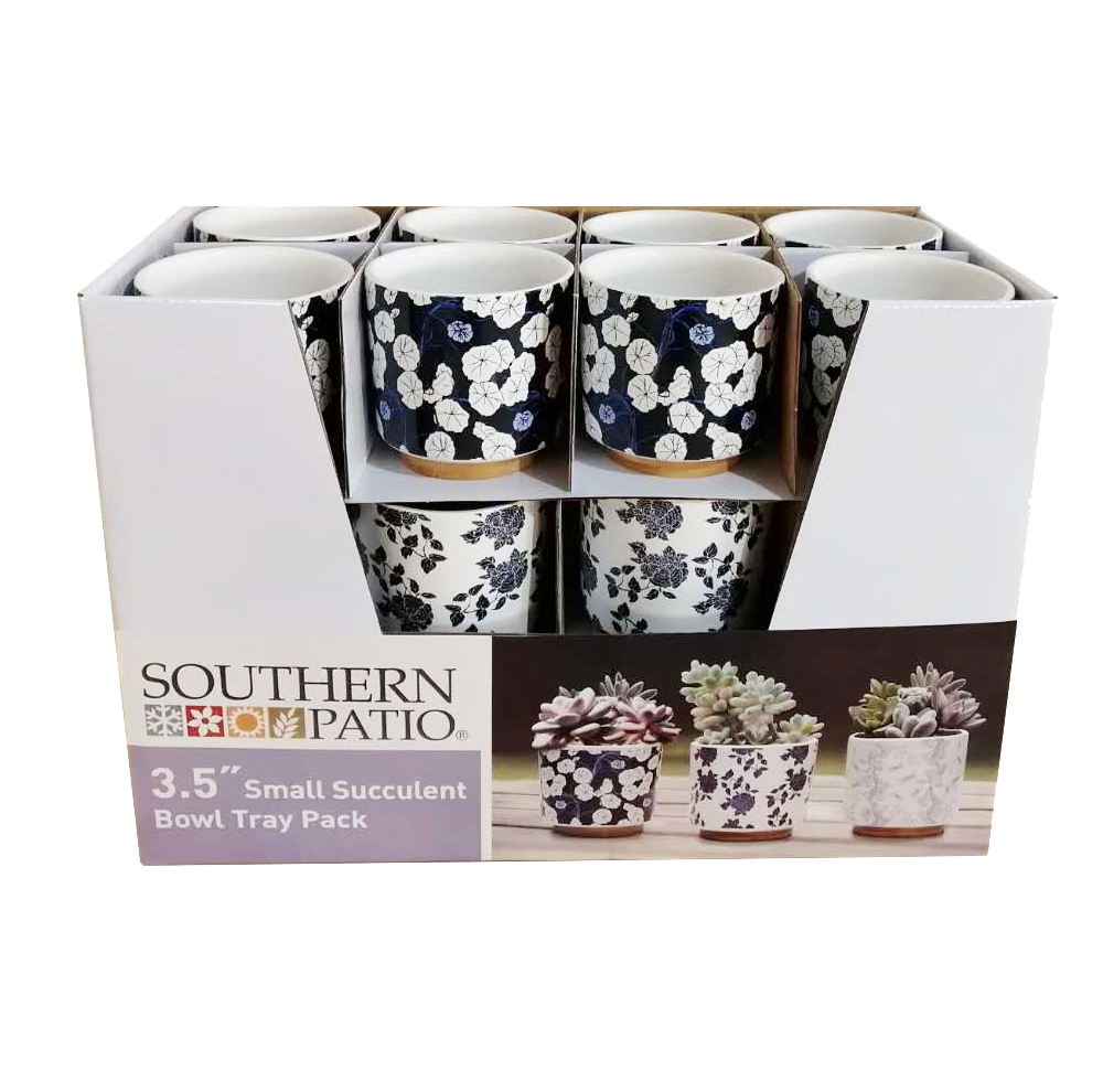 mini succulent tray