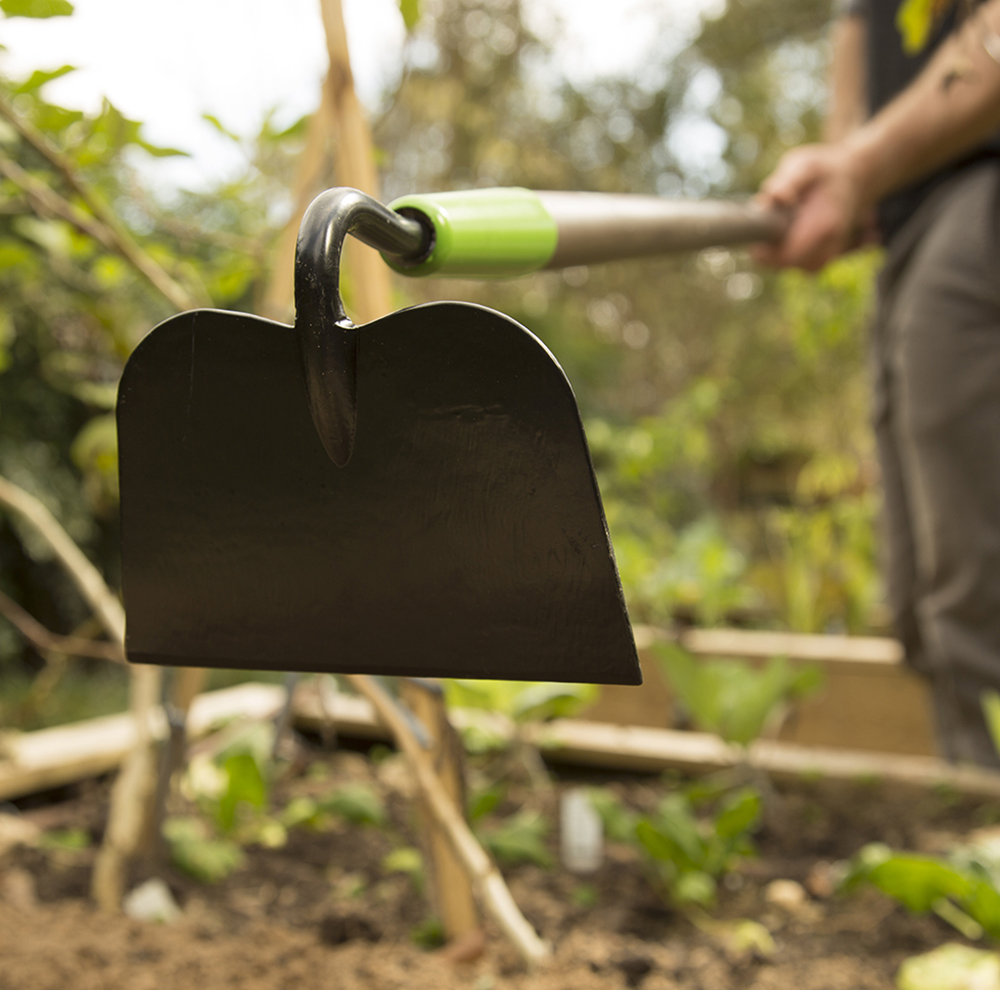 Fiberglass Handle 6.25 in. Forged Garden Hoe | Home by AMES