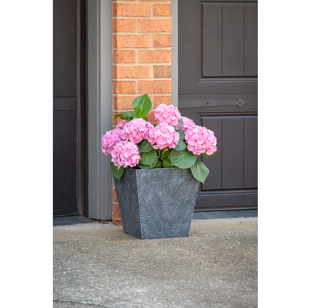 12in Fern Short planter | Home by AMES