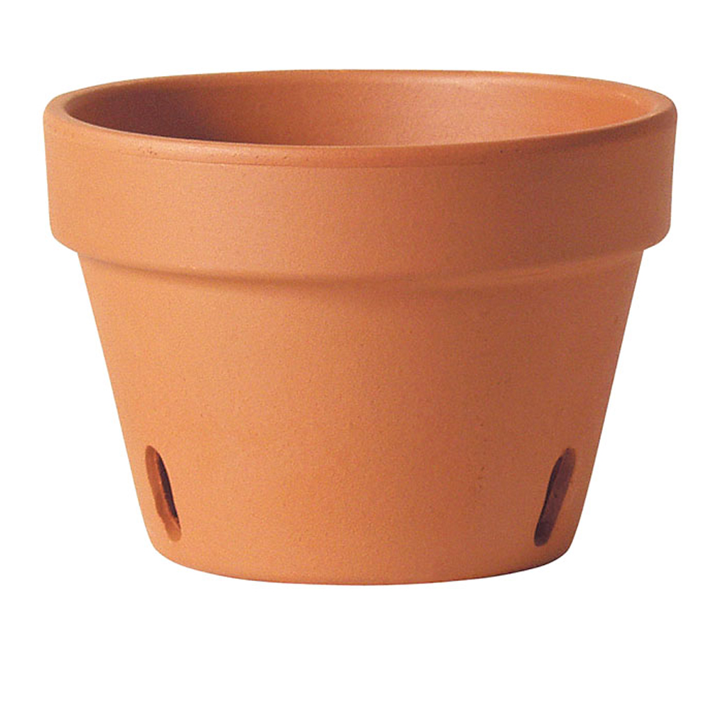 6" Clay Orchid Pot | Home by AMES