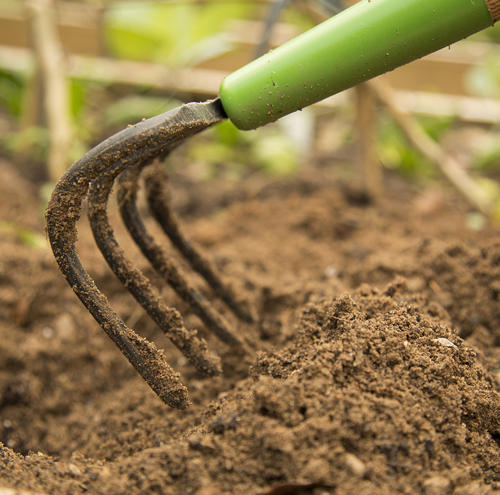 4-Tine Forged Cultivator | Home by AMES