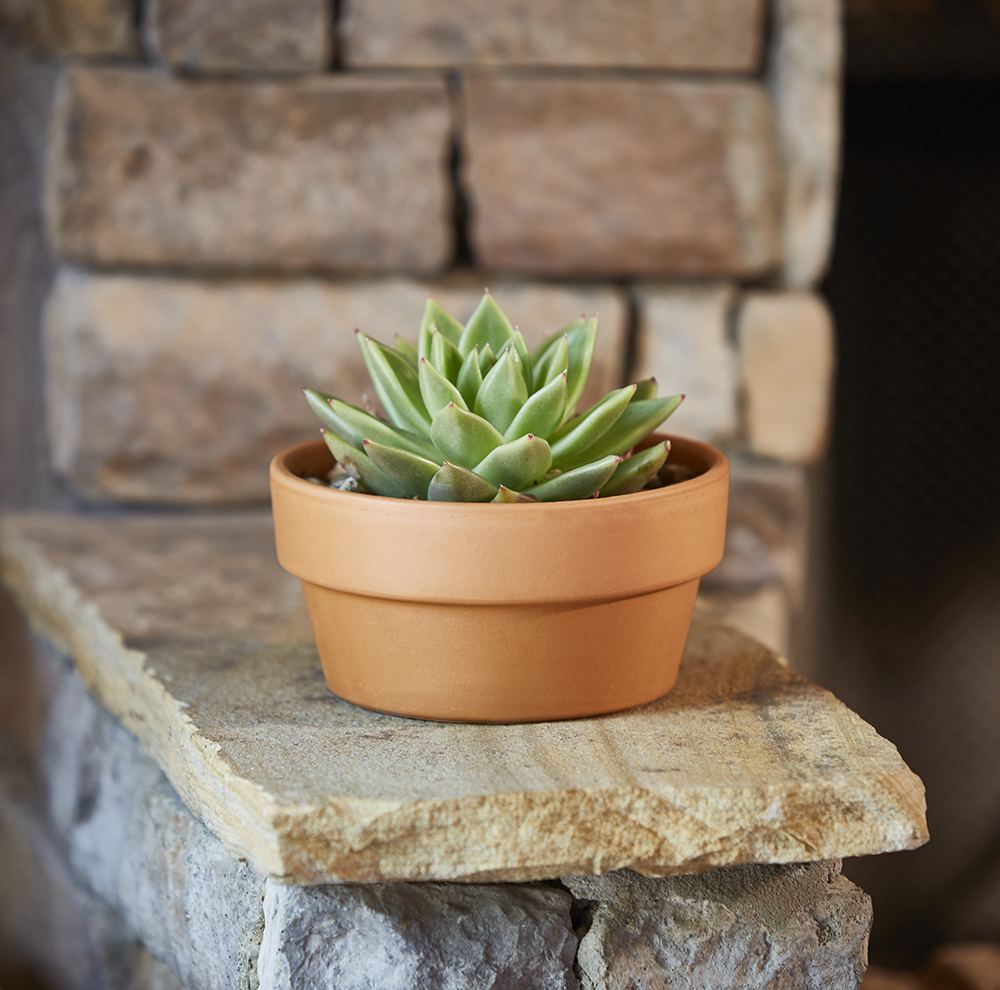 Clay Half Pot | Home by AMES