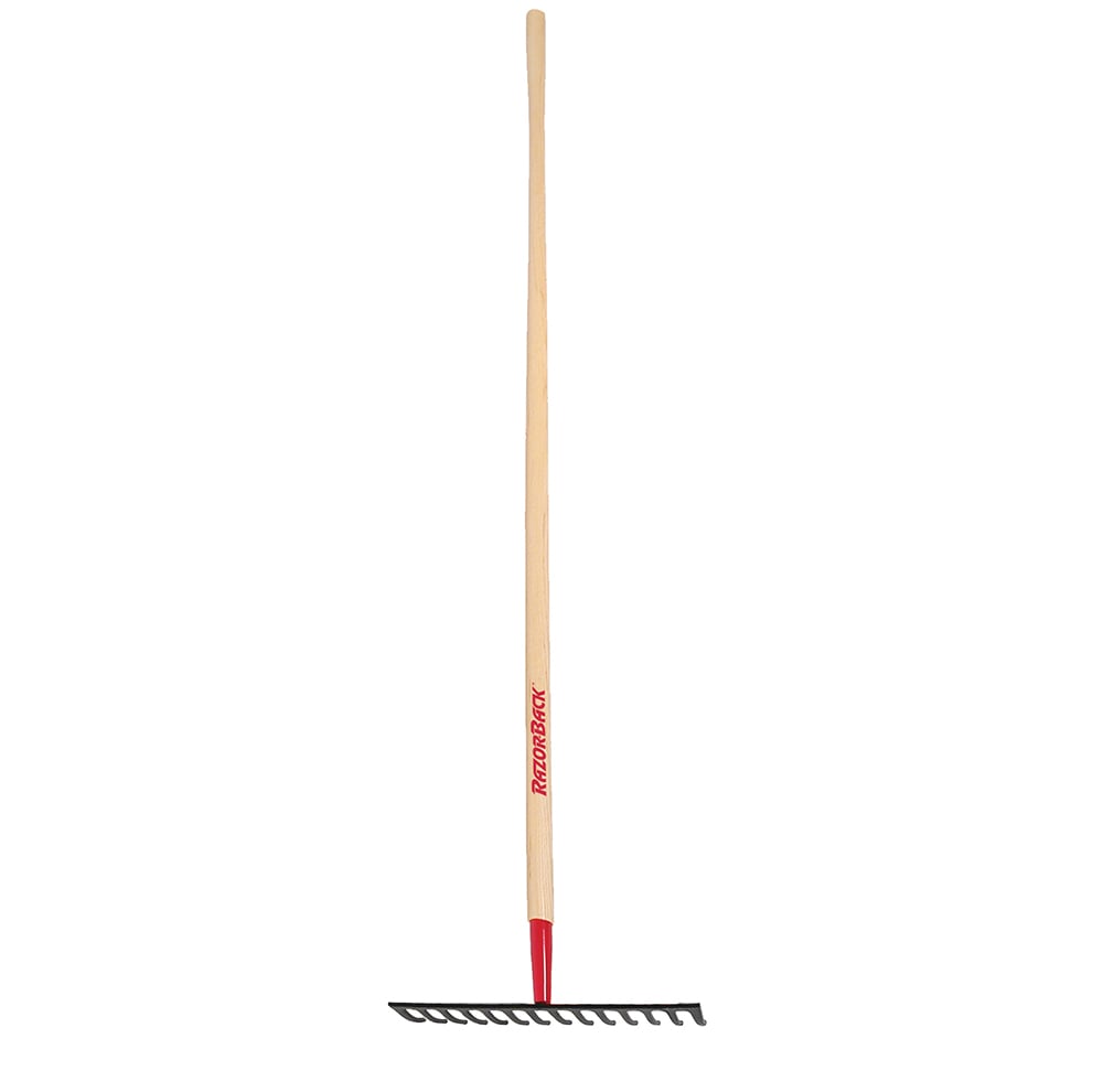 14 Tine Level Head Rake, Forged, with Wood Handle | Home by AMES